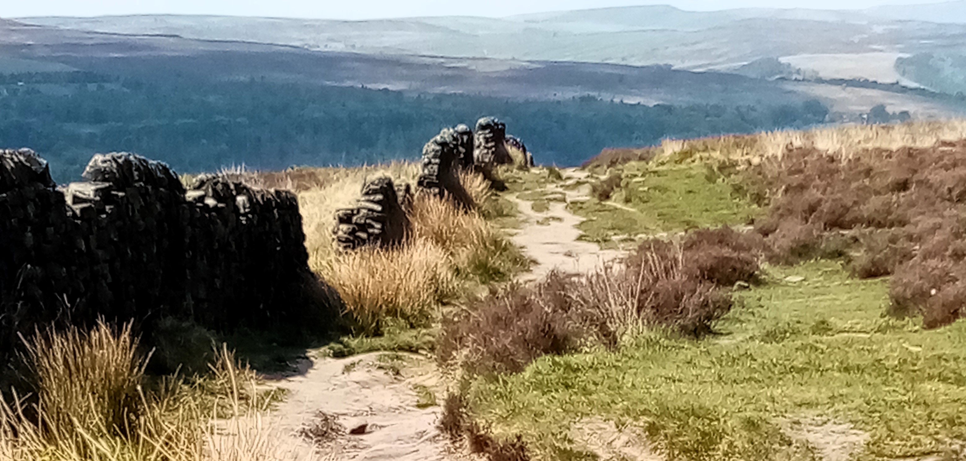 Retired Bloke on Food n stuff – My "later in life" journey to discover ...