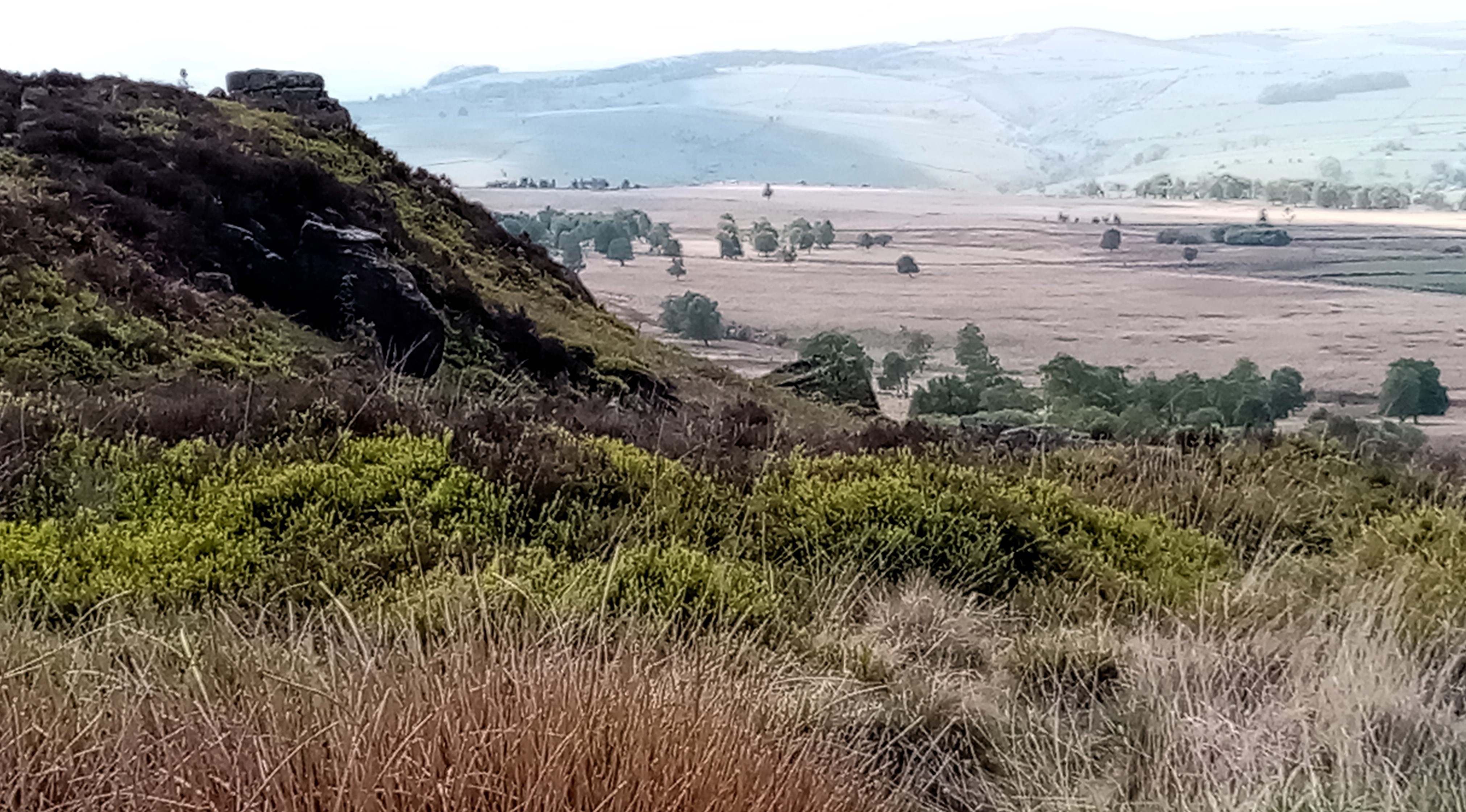 Retired Bloke on Food n stuff – My "later in life" journey to discover ...