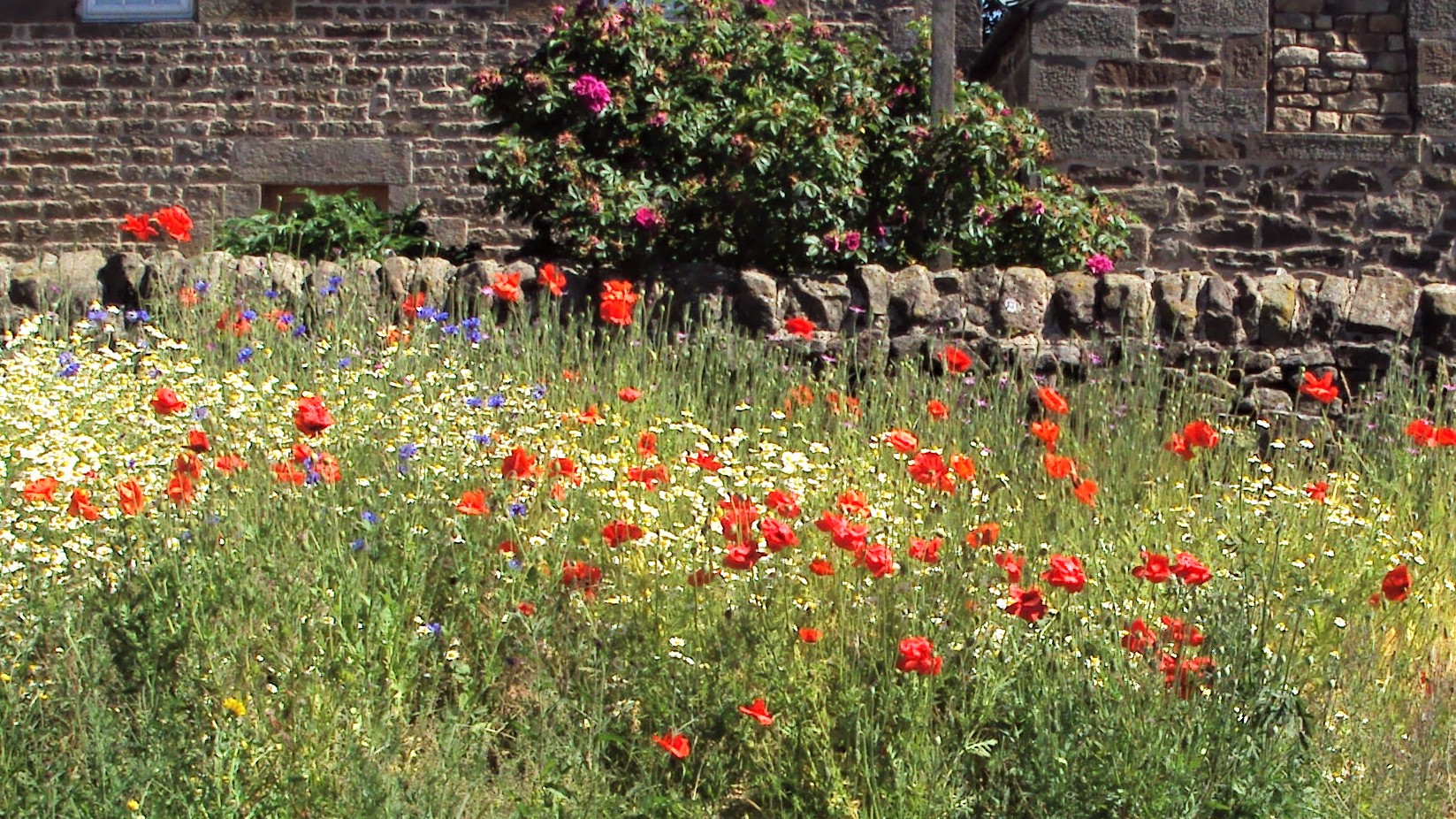 Retired Bloke on Food n stuff – My "later in life" journey to discover ...