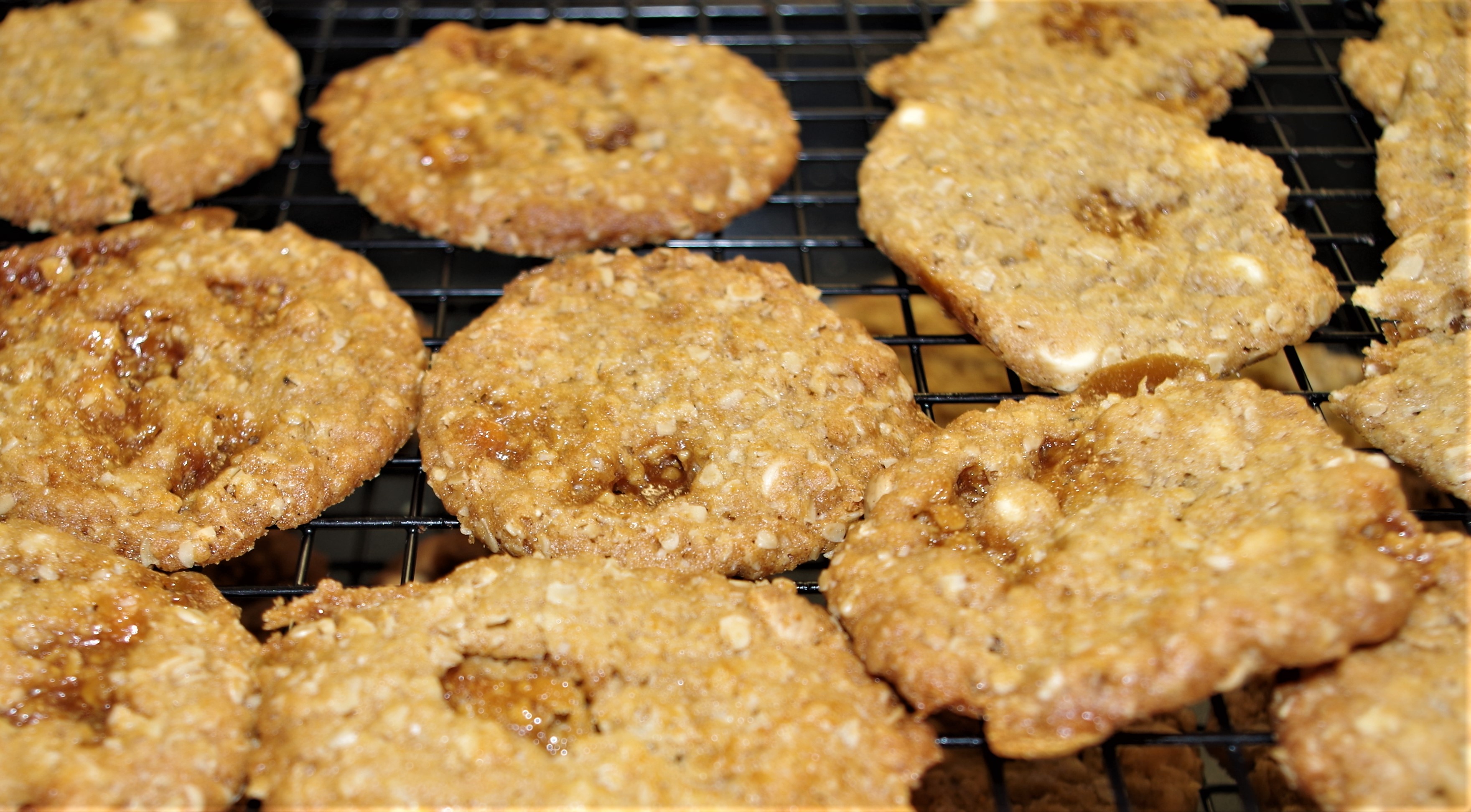 Chocolate Chip Digestive Biscuits – Retired Bloke on Food n stuff