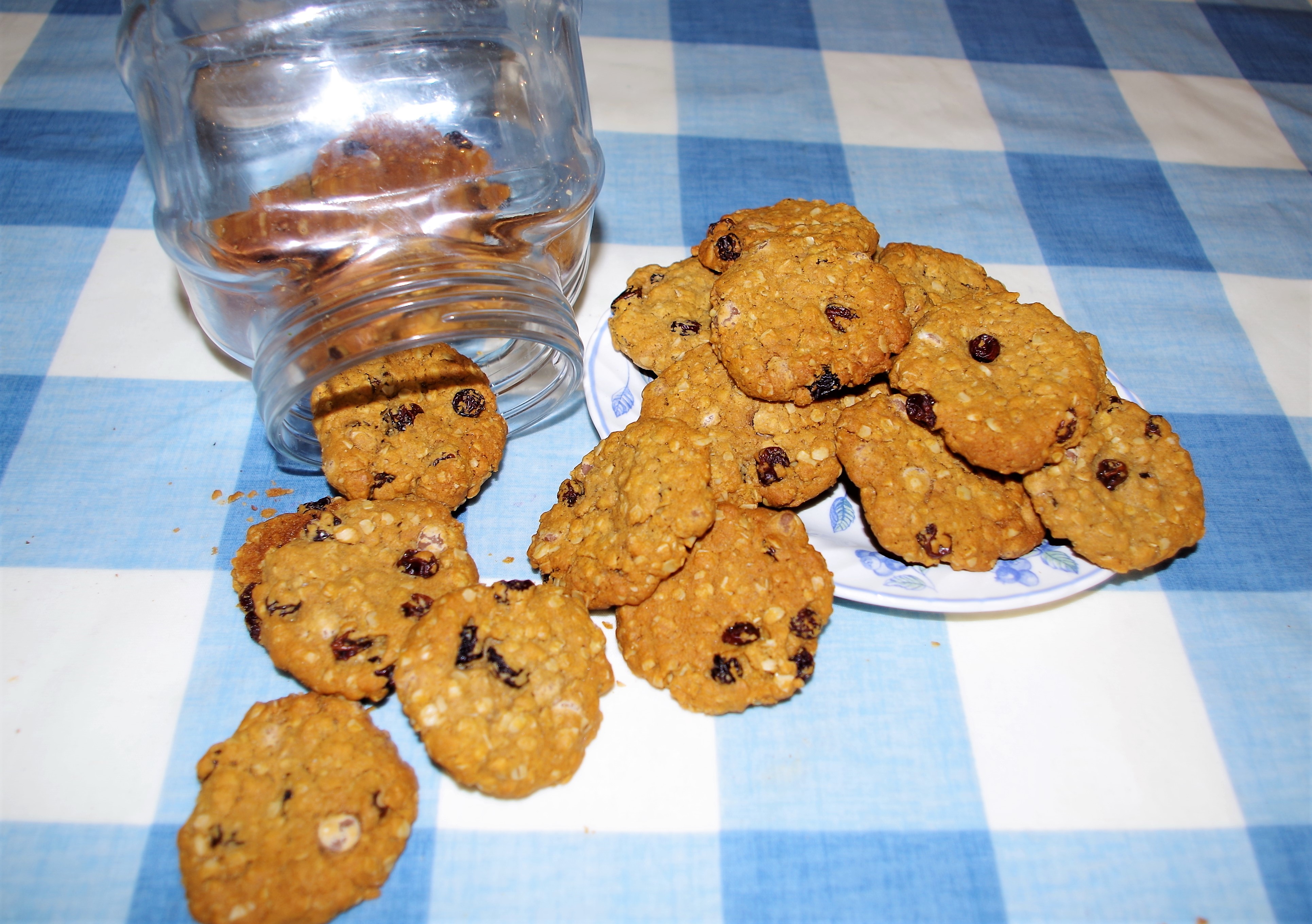 Chocolate Chip Digestive Biscuits – Retired Bloke on Food n stuff