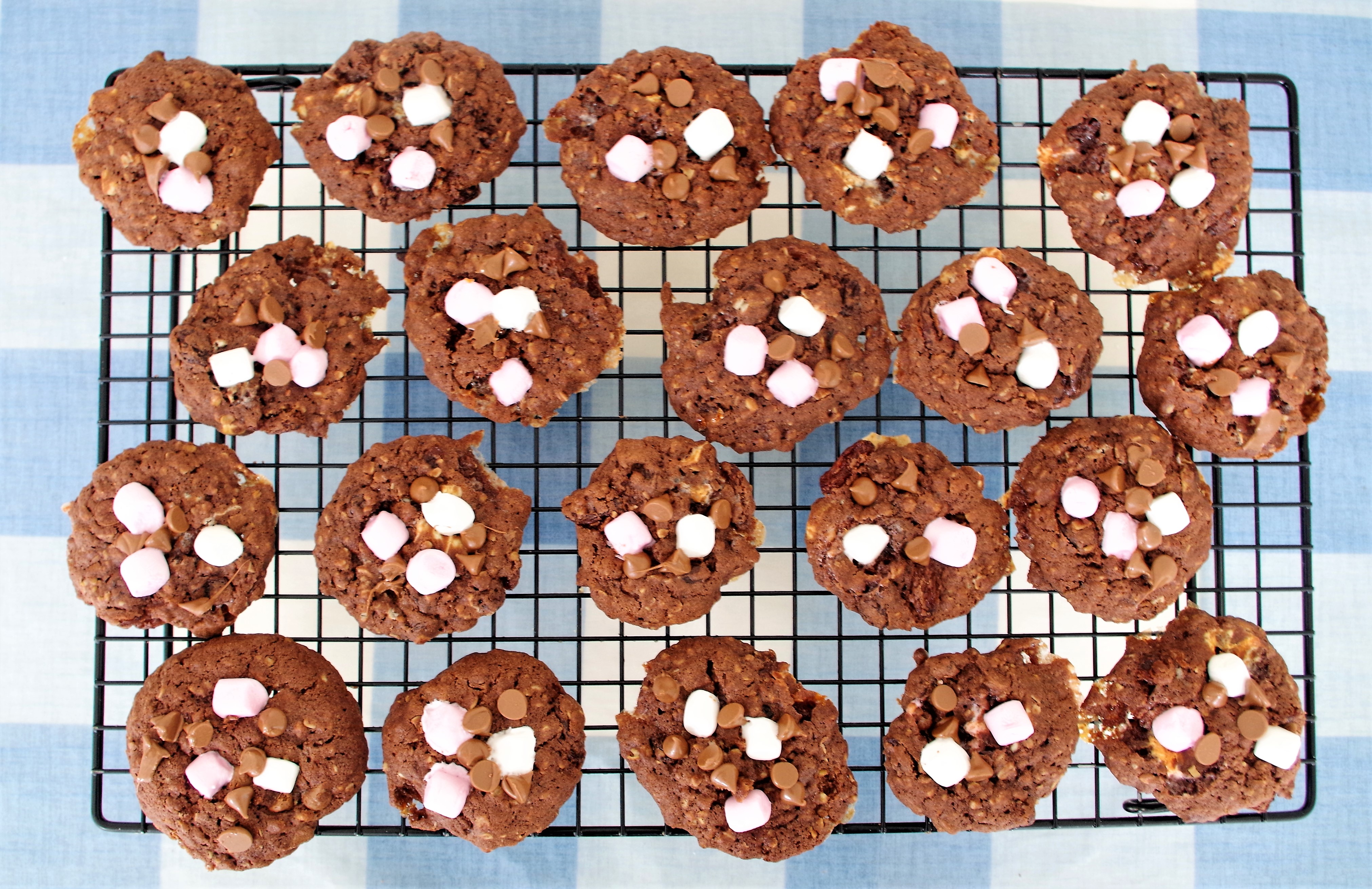 Chocolate Chip Digestive Biscuits – Retired Bloke on Food n stuff