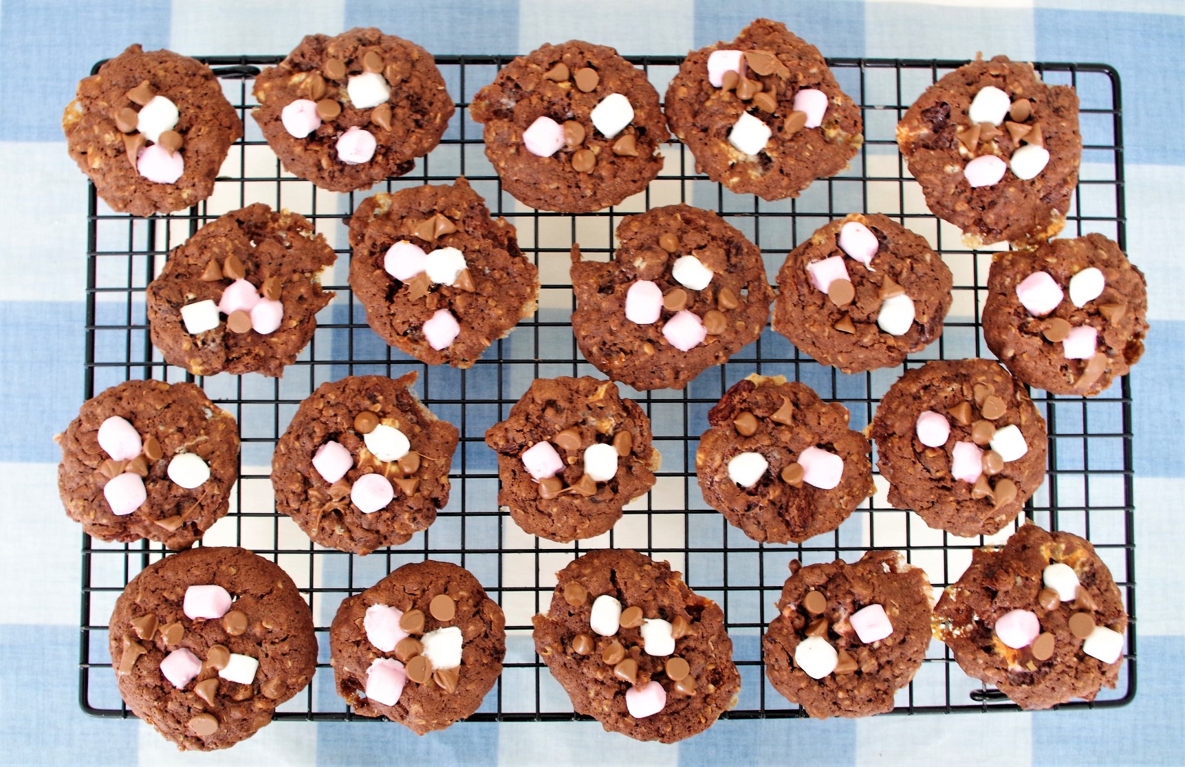 Chocolate Chip Digestive Biscuits – Retired Bloke on Food n stuff