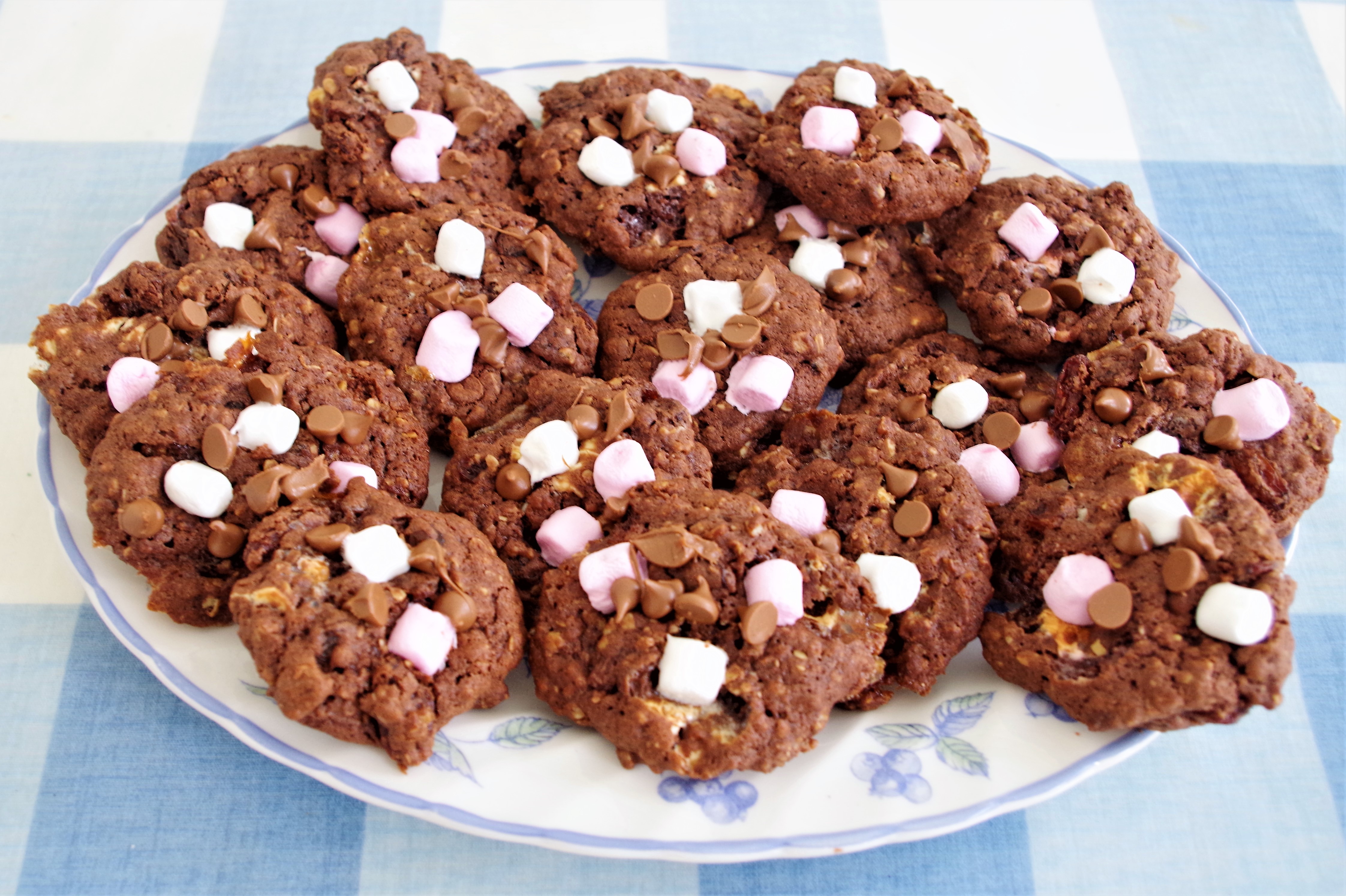 Chocolate Chip Digestive Biscuits – Retired Bloke on Food n stuff