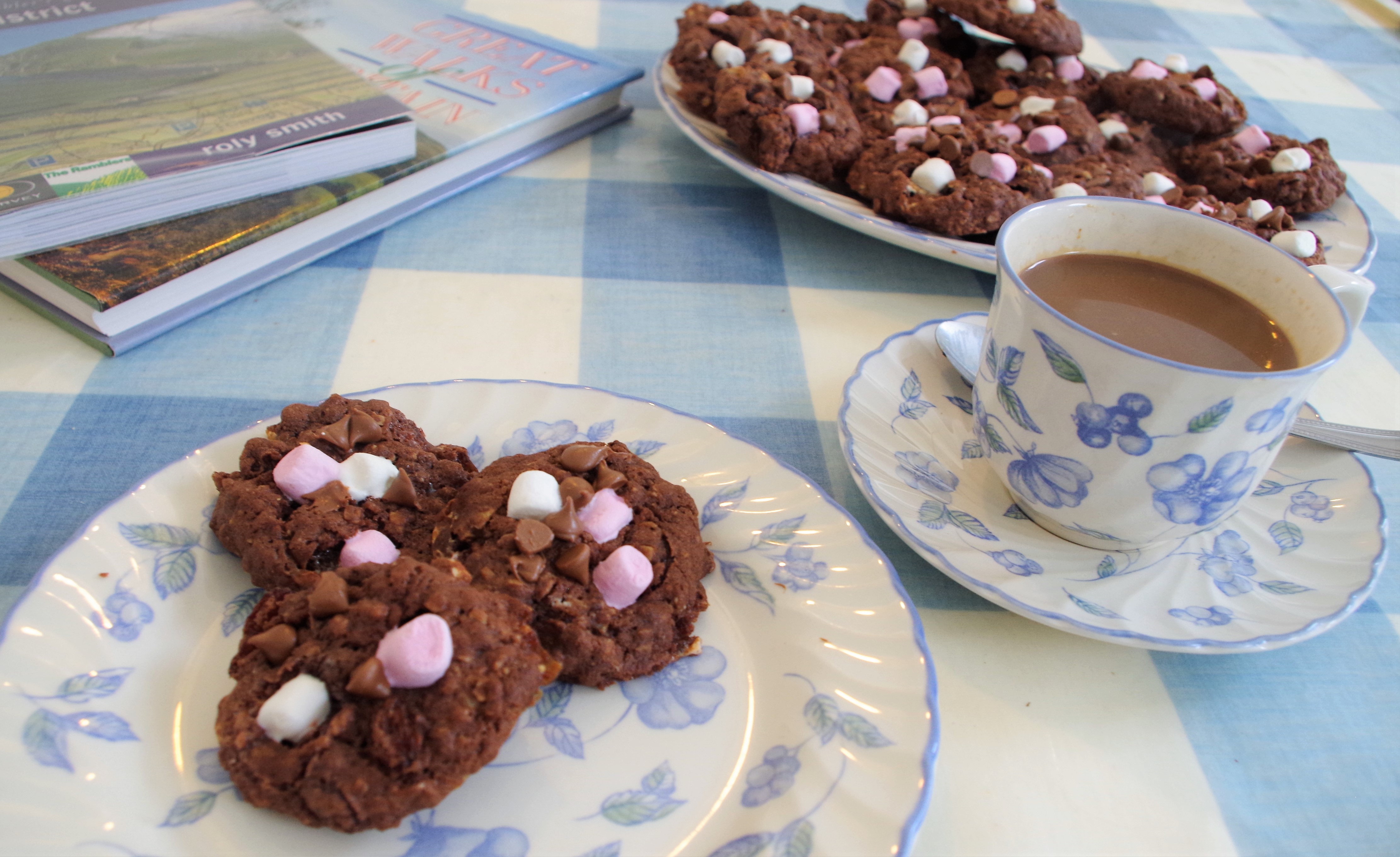 Chocolate Chip Digestive Biscuits – Retired Bloke on Food n stuff